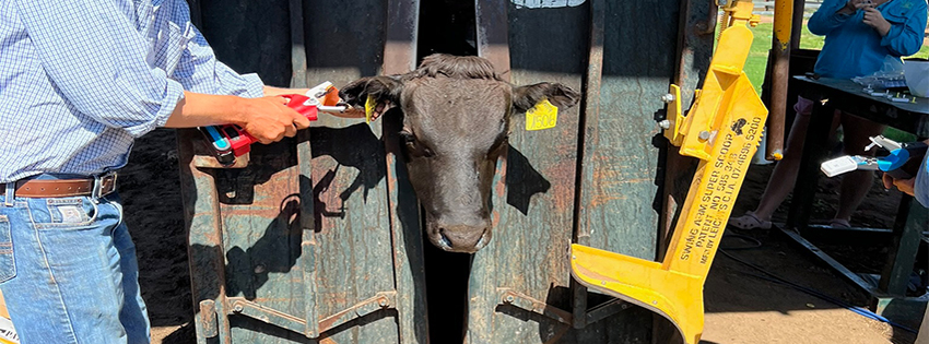 Powertagger - Power Tagger